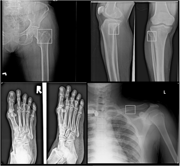 deepcOS - AI portfolio